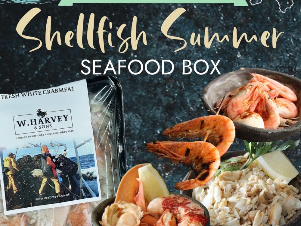 Buy Whelks Online | Frozen Shellfish | Next Day Delivery